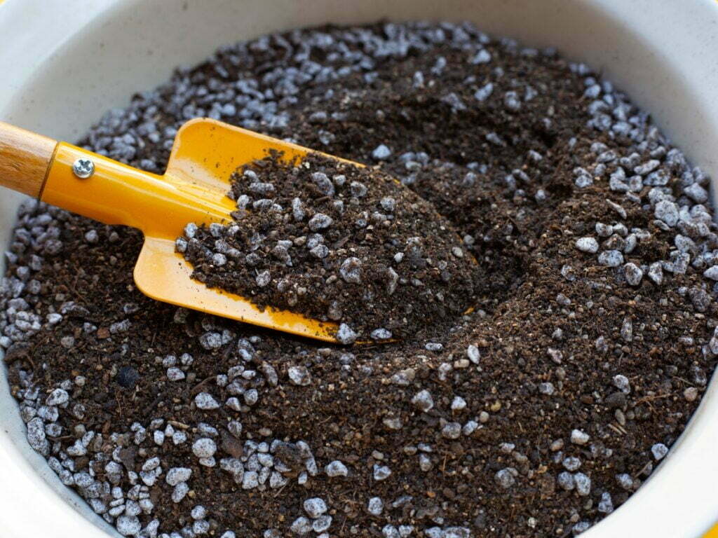 Why Every Plant Needs Perlite: The Ultimate Guide | Shehri Kisaan ...