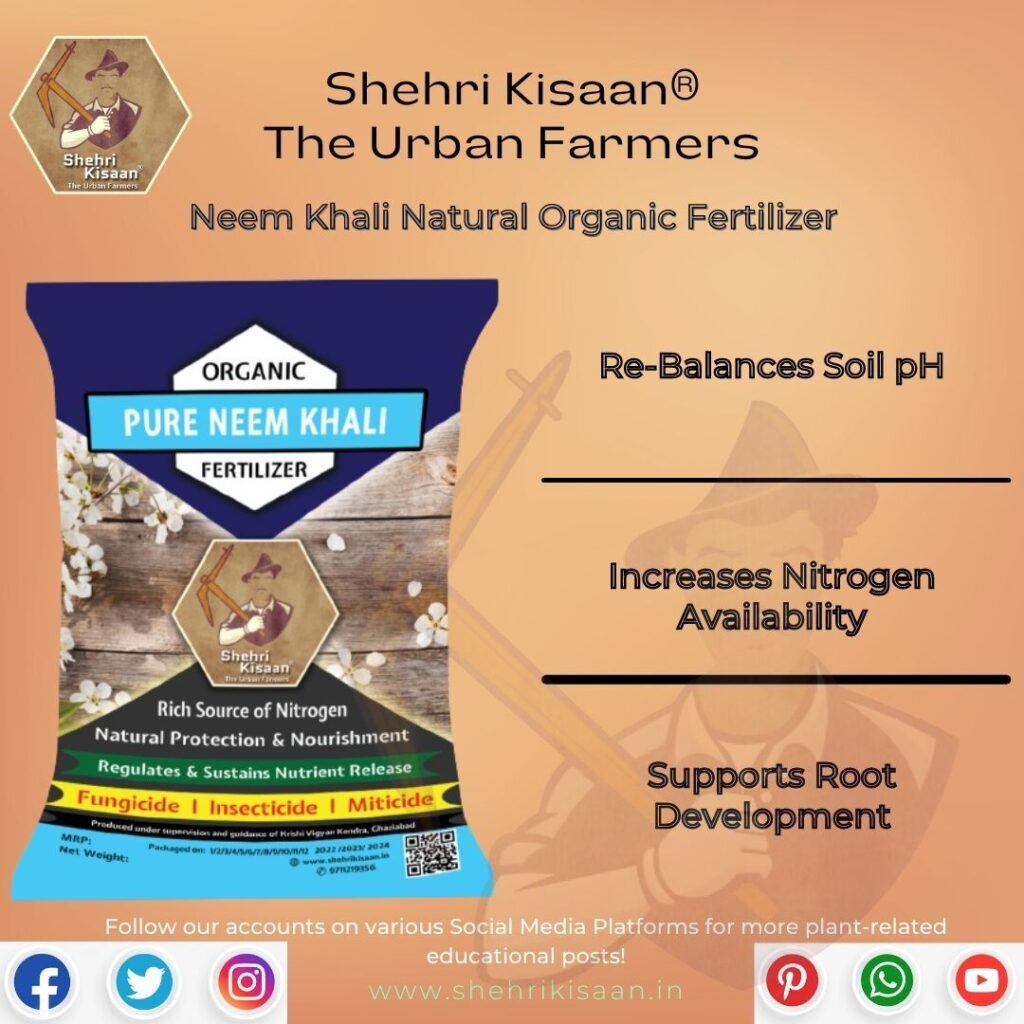 Neem Khali Cake Powder: A Guide on Nutrient Composition and Benefits ...