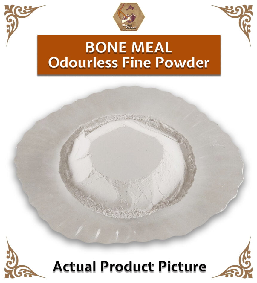 Steamed Bone Meal 101: Its Role in Sustainable Gardening Practices ...