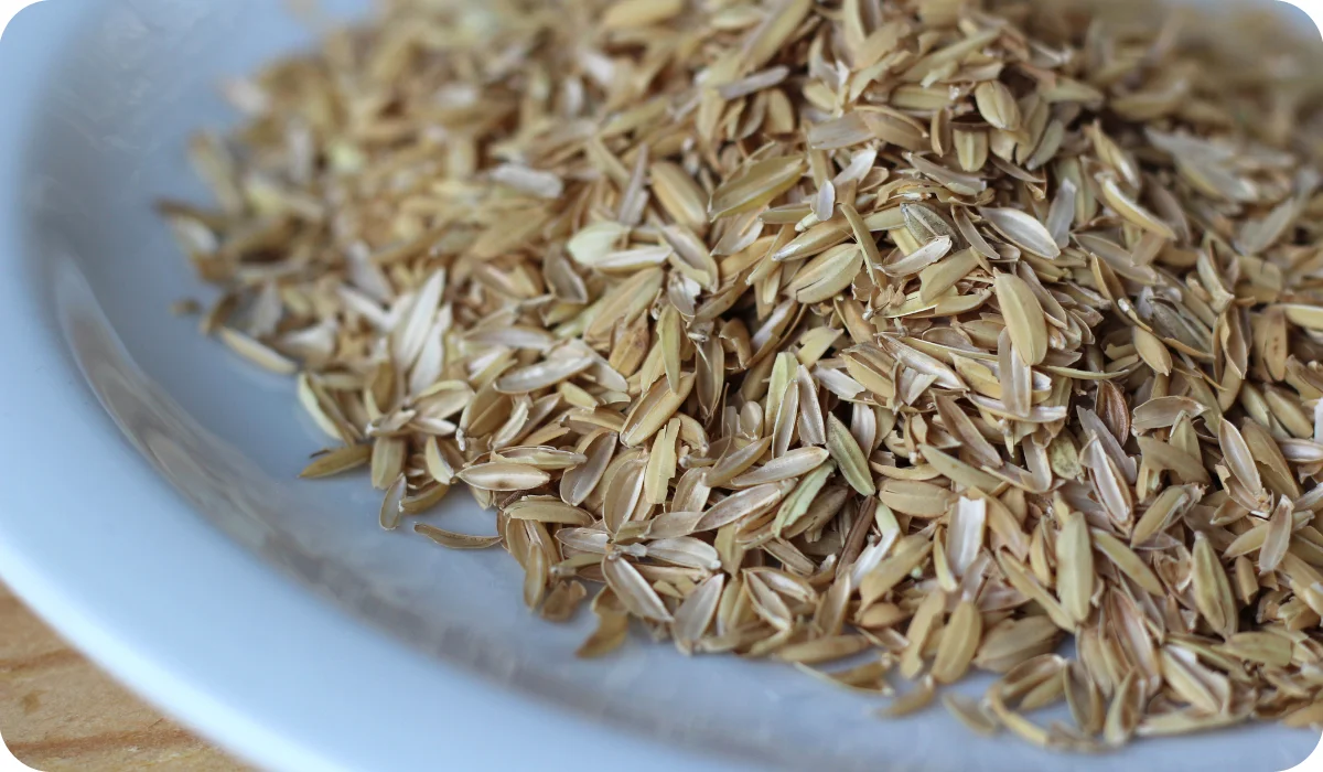Rice Husk (Paddy Hulls) for Plants: Enhancing Growth and Sustainability ...