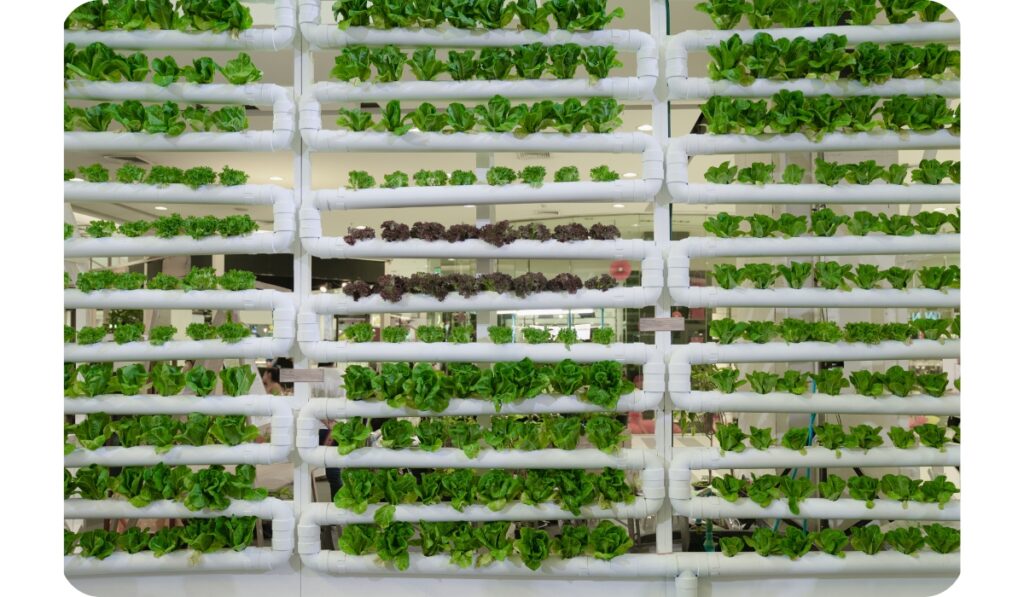 Vertical Farming: Overcoming Challenges with a Comprehensive ...