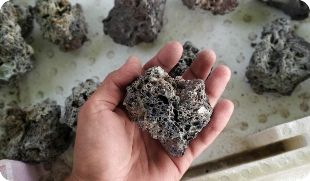 Porous Lava Volcanic Rocks: The Revolutionary Solution for Enhanced ...