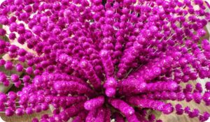 Discover the Enchanting World of Vadamalli Flowers: Cultivation and ...