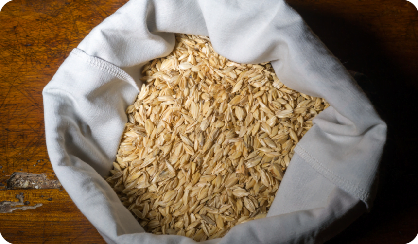 Rice Husk (Paddy Hulls) for Plants: Enhancing Growth and Sustainability ...