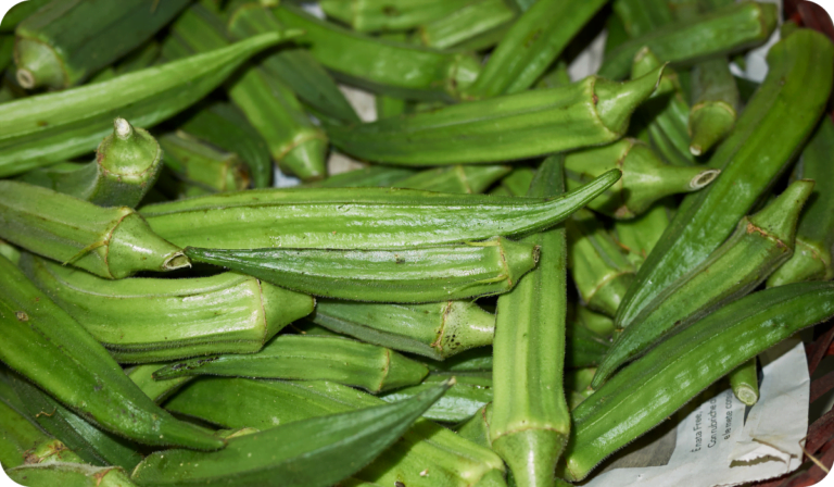 Home Gardener's Guide to Growing Okra: Care Tips for Lady Finger Plant ...
