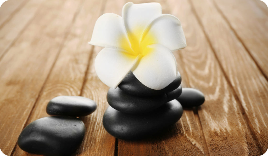 Champa Flower Cultivation 101: A Comprehensive Guide for Gardeners ...