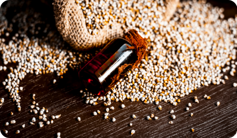Bajra Cultivation in India: Growing Pearl Millet or Bajra Crop on Your ...