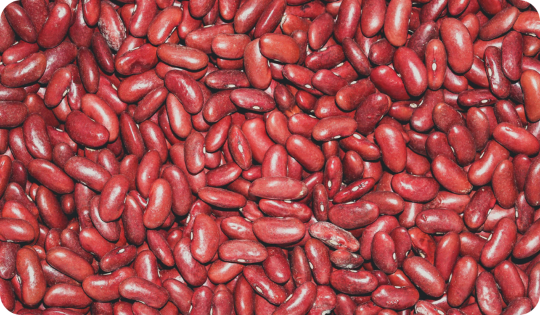 A Detailed Guide to the Cultivation of Kidney Beans (Rajma Plant) with ...
